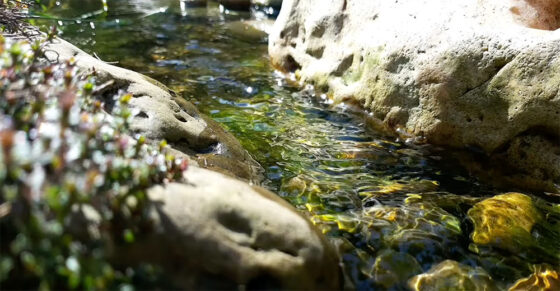 DIY Garden Stream Water Feature | Step-by-Step Beginner’s Guide